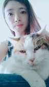 chen yuko的商店 | Pubu - Read and Publish eBooks
